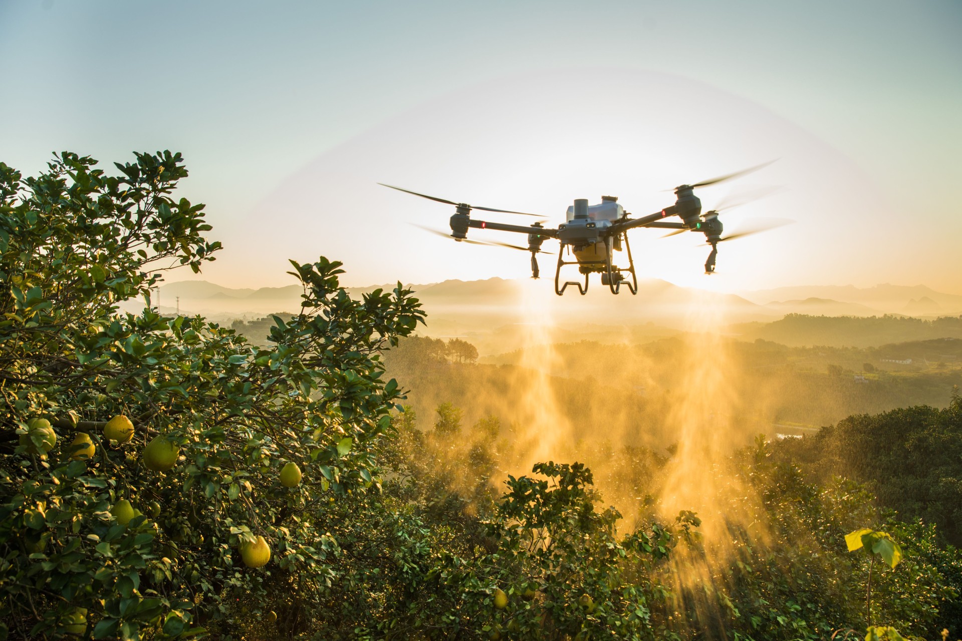 TSIT, authorized dealer DJI, partner resmi ASUS Business dan ...